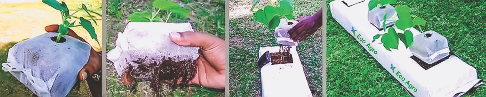 Starter Blocks – Eco Agro